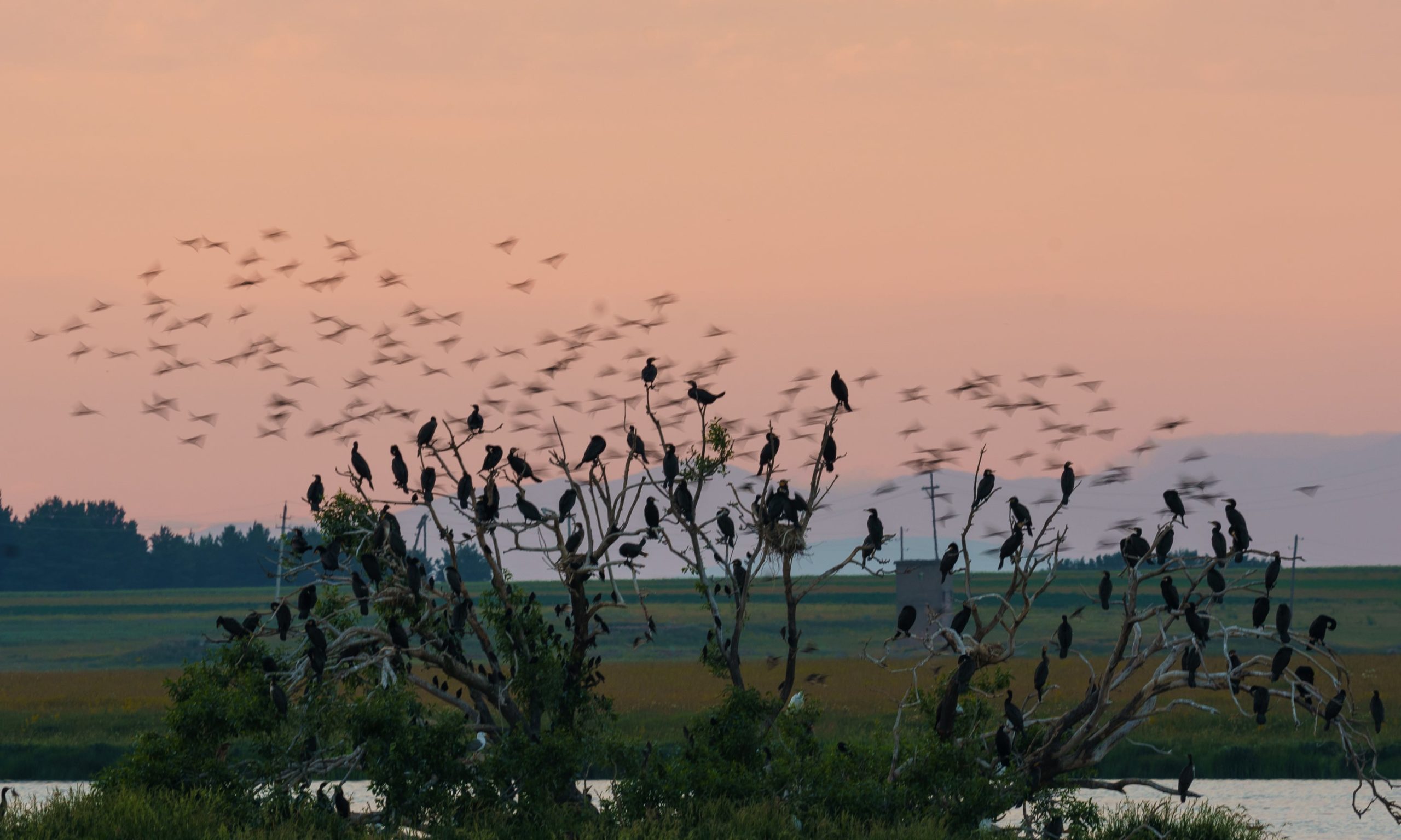 Javakheti National Park - Visit Samtskhe - Javakheti